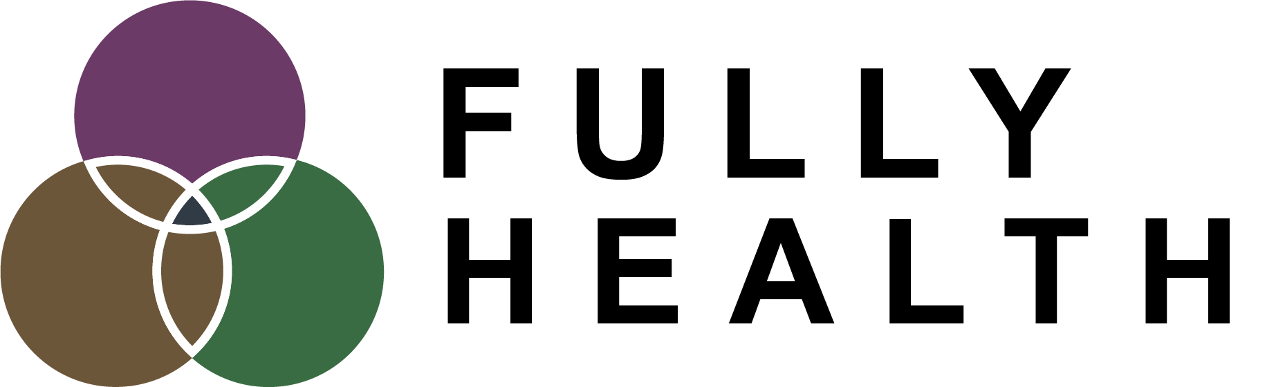 Fully Health: Integrating Christian Faith and Mental Health